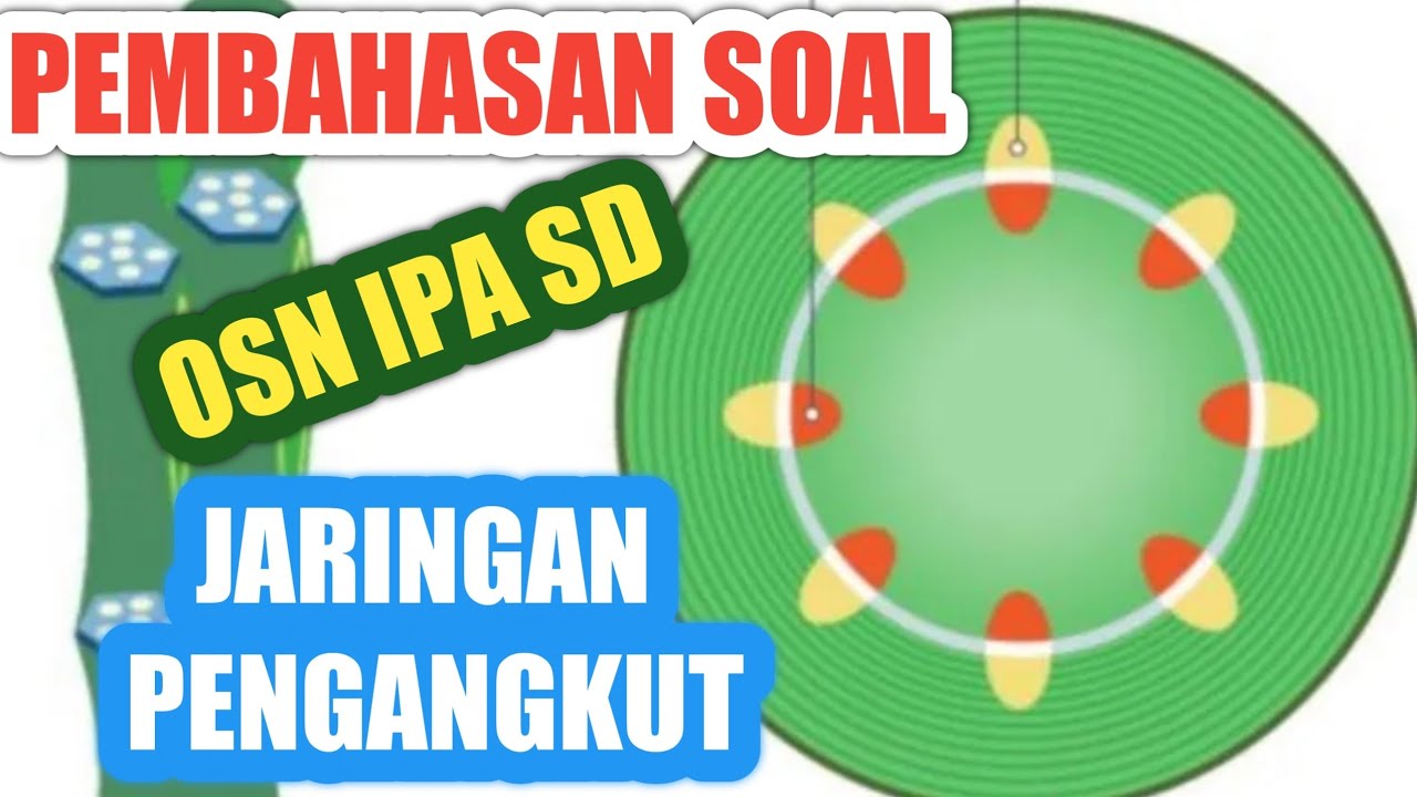 SOAL OSN IPA SD 2022 - SOAL OLIMPIADE IPA SD 2022 - YouTube