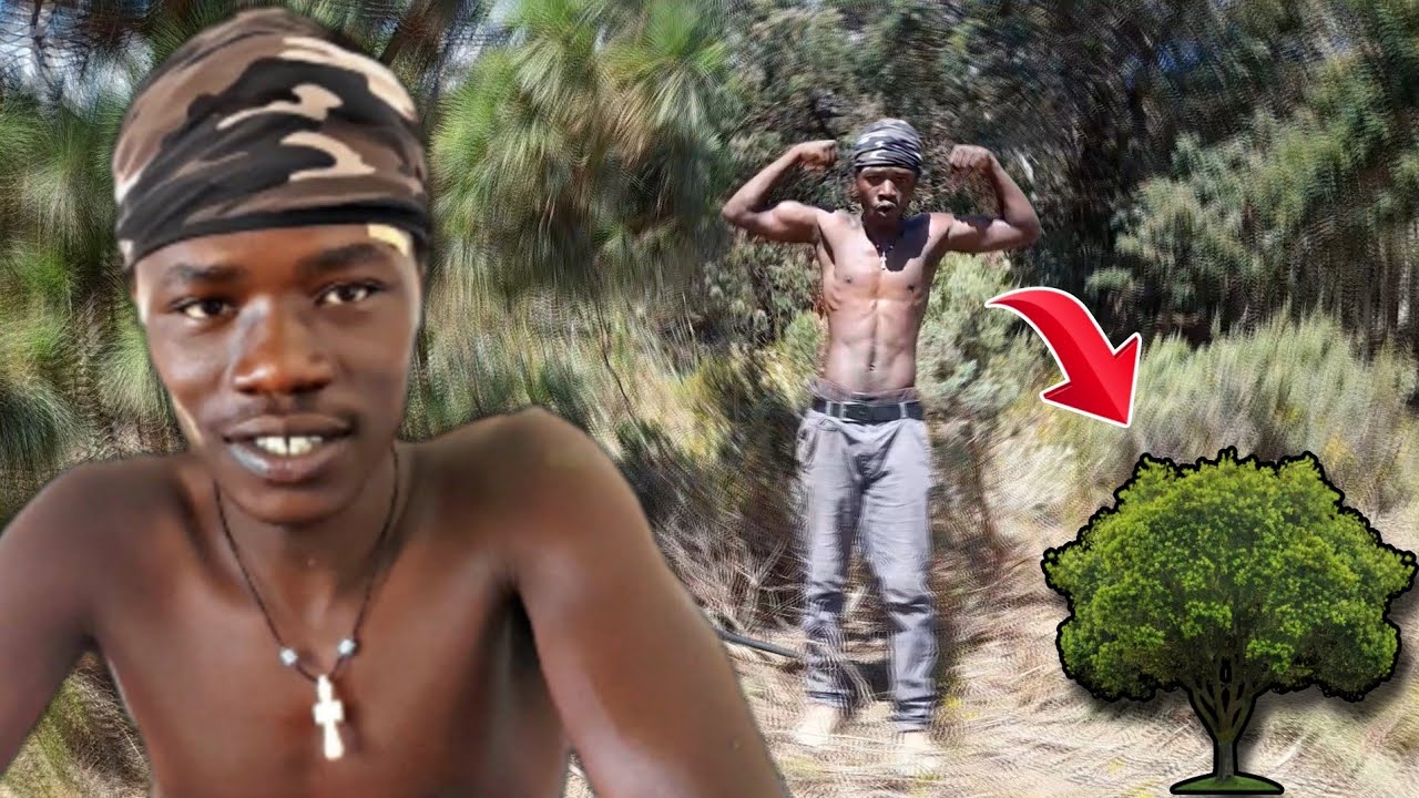 Ultimate Guide: Removing Old Established Shrubs (Digging Out Well ...