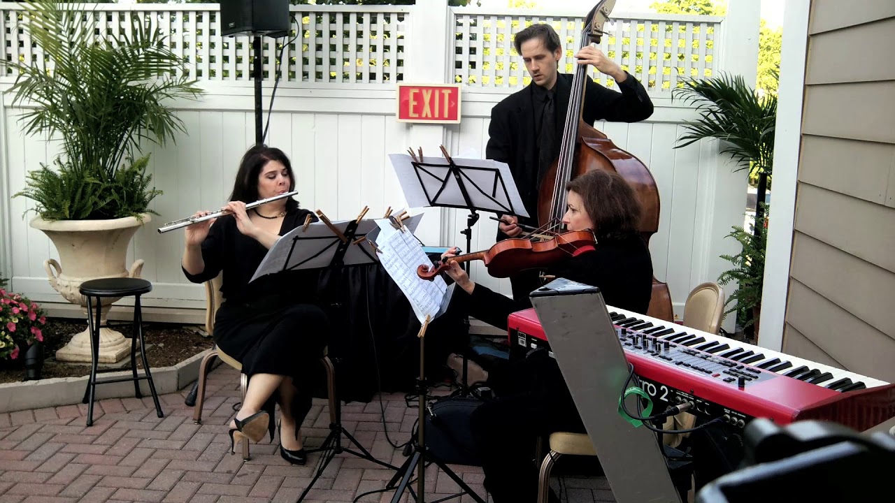Classical trio-Bass-Flute-Violin - YouTube
