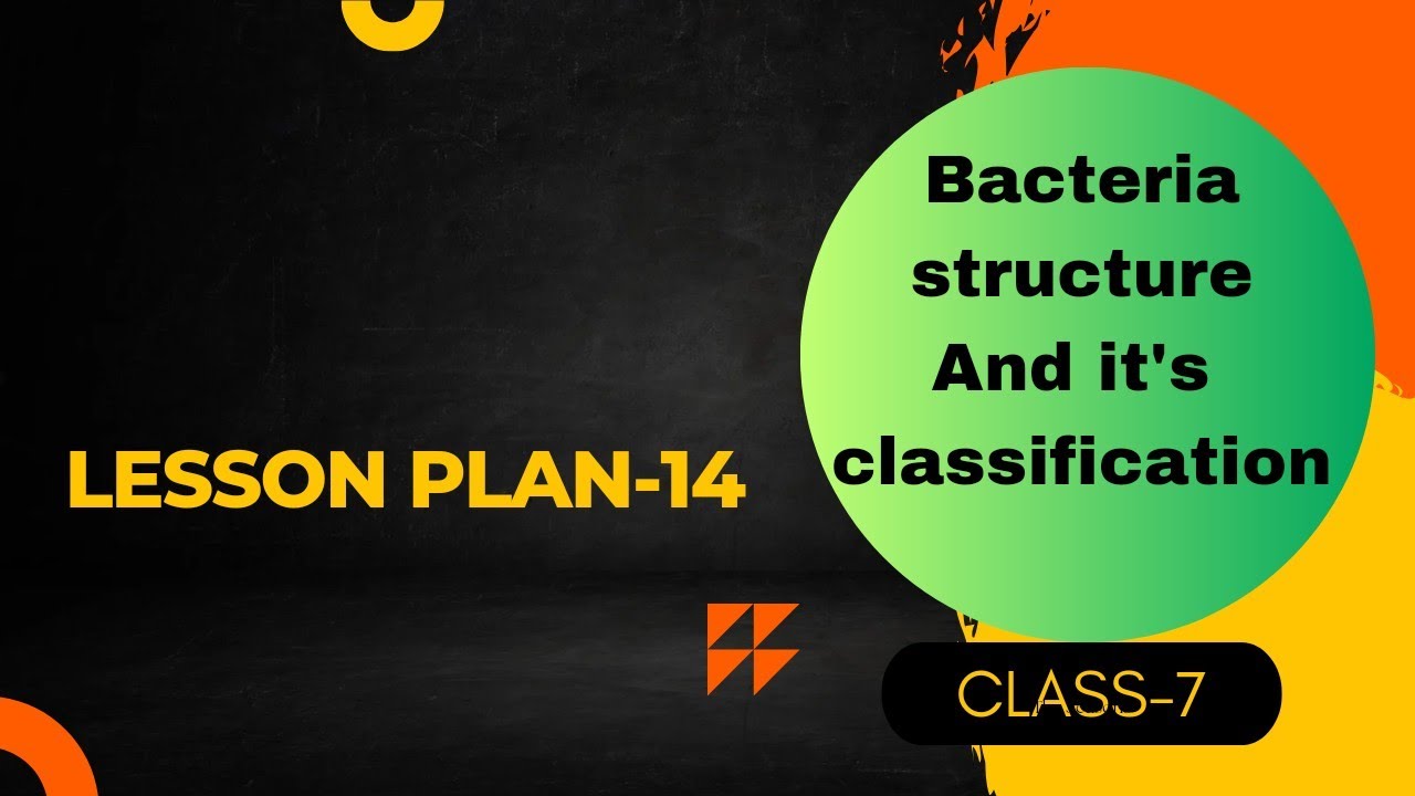 bacteria_structure_and_it's_classification_lesson_plan_in english ...