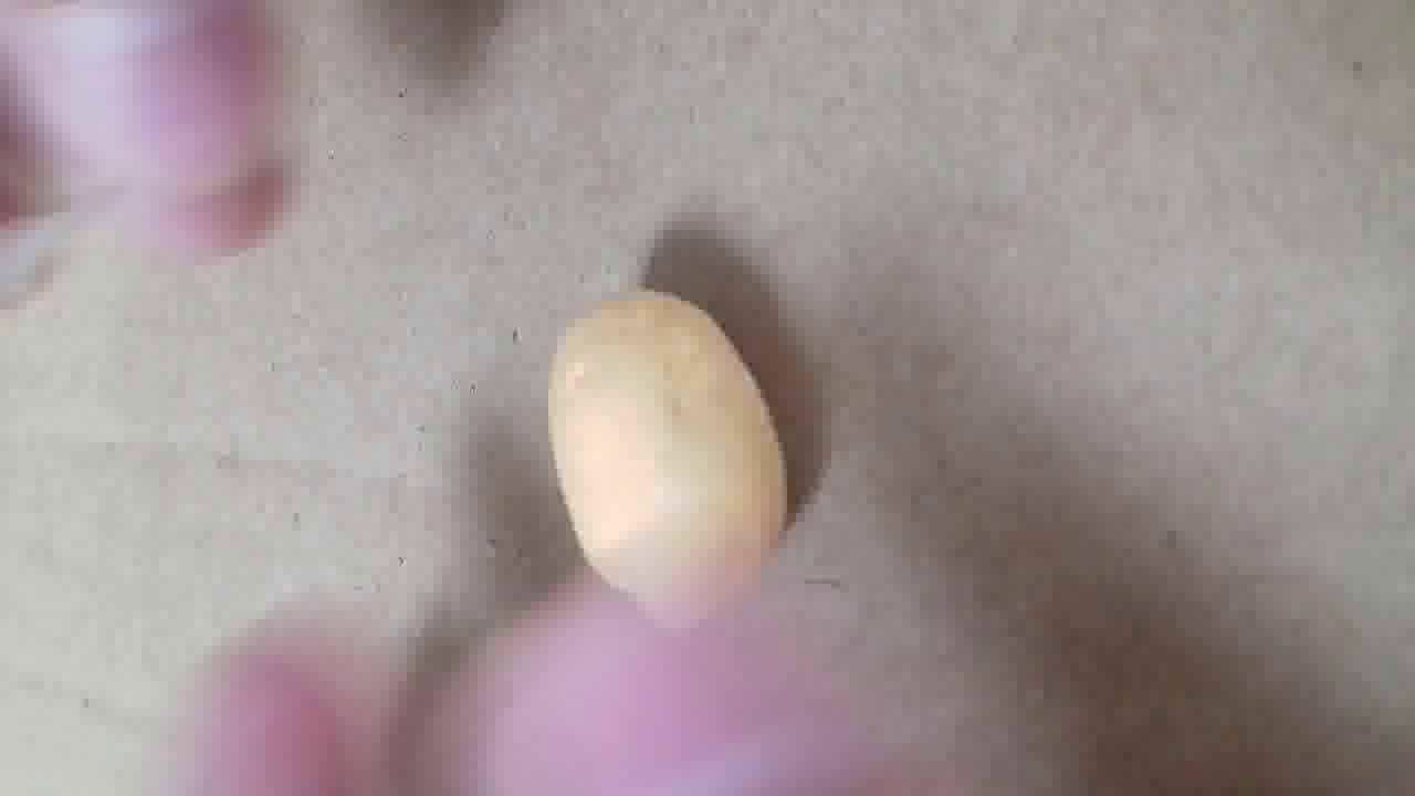 How to make baby from plasteline (Jak zrobić dziecko z plasteliny ...