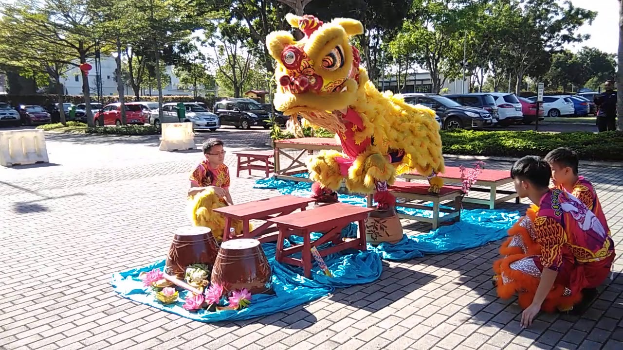 Lion Dance Performance with acrobatic Jumping own creative set up stage ...
