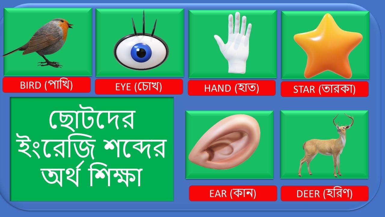 ছোটদের ইংরেজি শব্দের অর্থ শিক্ষা | Chotoder English Meaning Shikkha | ইংরেজি থেকে বাংলা অর্থ ...