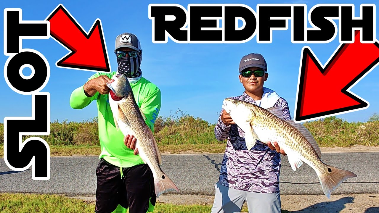So Many Upper Slot Size Redfish Here ! | GG Anglers and 3rd Coast ...