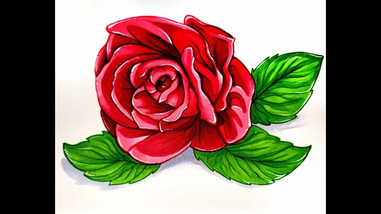 BRIGHT ROSE - ALCOHOL MARKERS DRAWING - YouTube