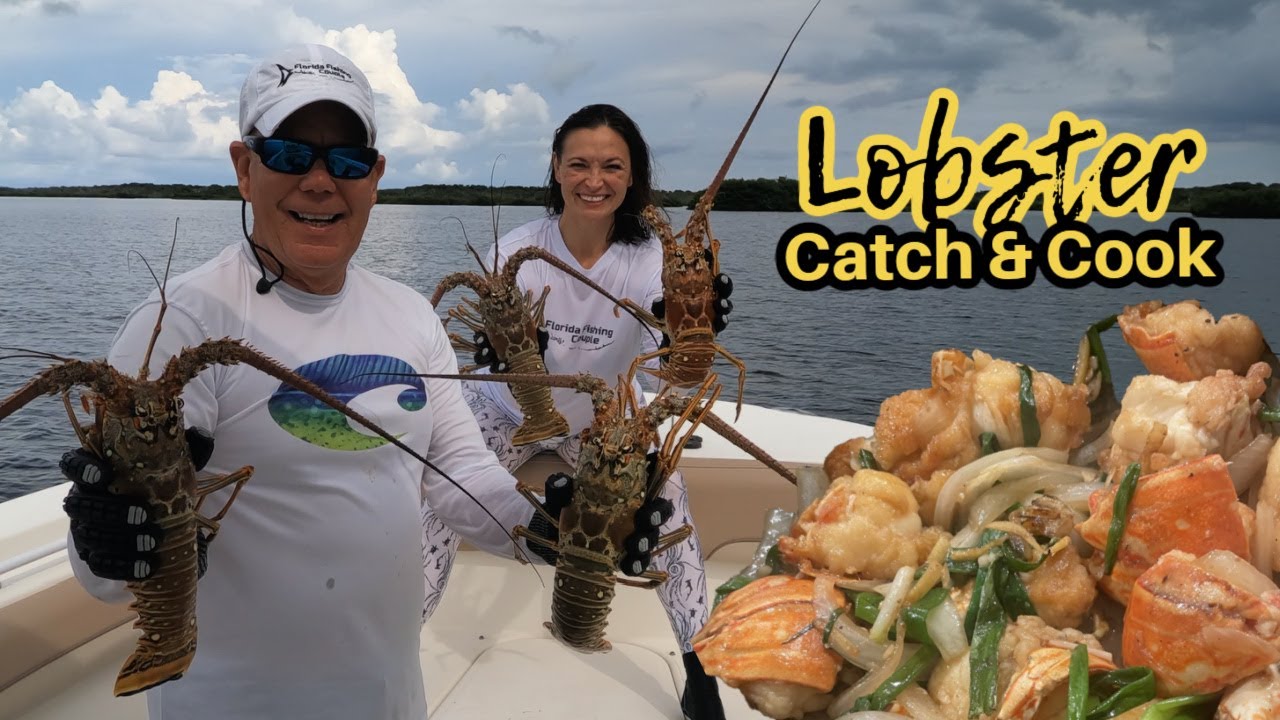 Lobster Hunting Key Largo Patch Reefs: Monster Lobsters & a NEW Lobster ...