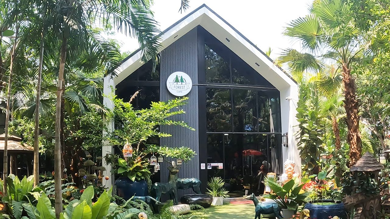 Must Try! the forest cafe 1, amazing place with lots of trees and good coffee - YouTube