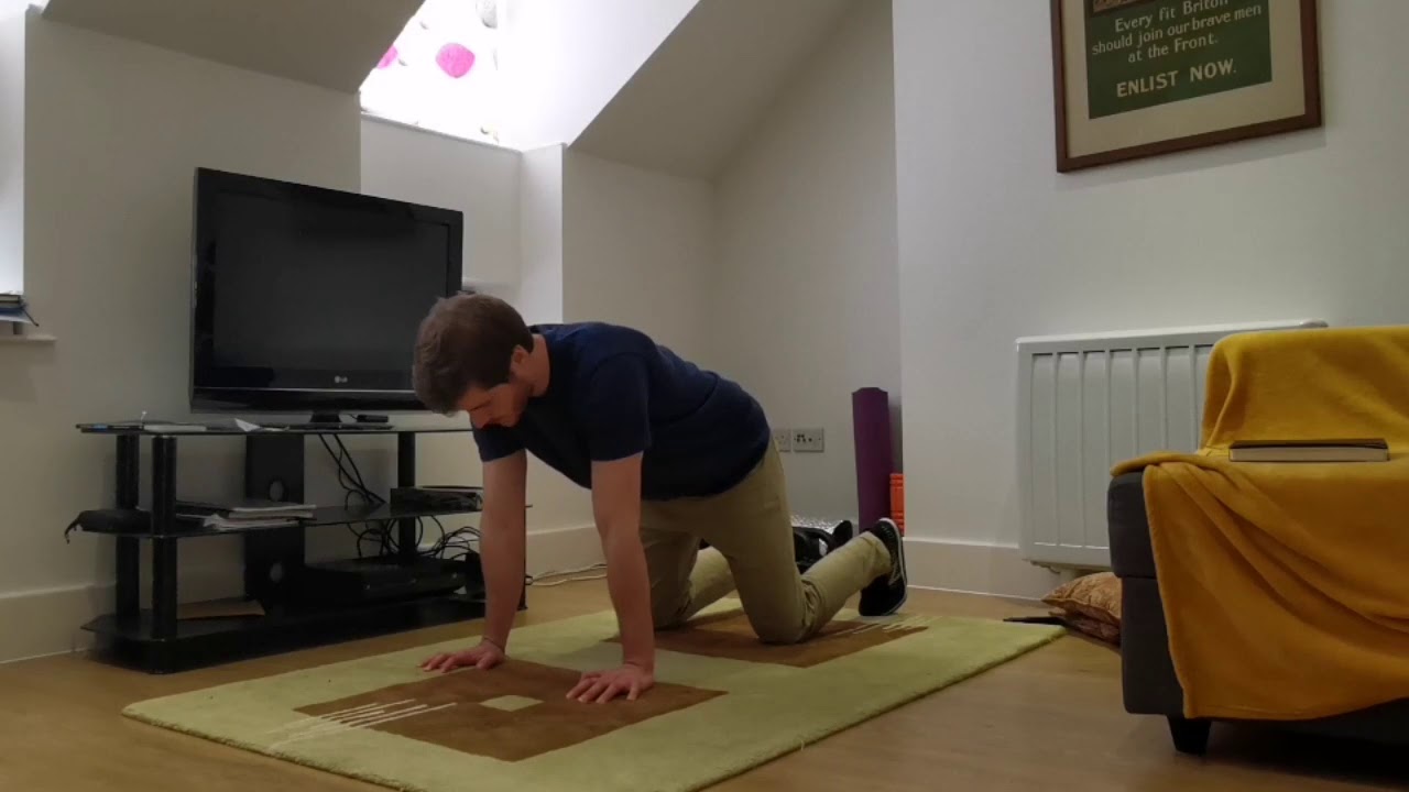 Bear crawl test - YouTube