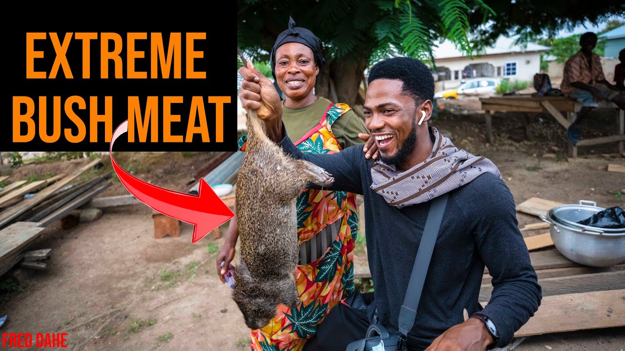 SHOCKING: Extreme BUSH MEAT at the GHANAIAN Wild Animal Market in ...