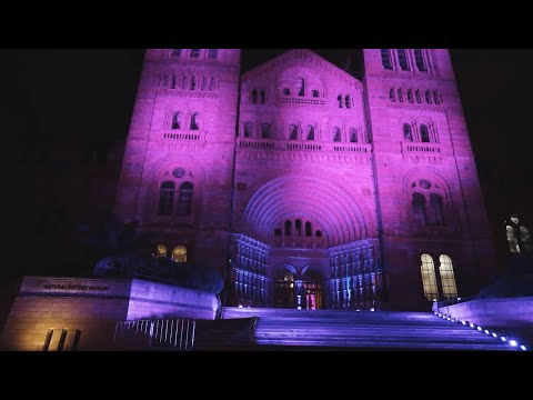 The 2024 INvolve London Role Model Gala - YouTube