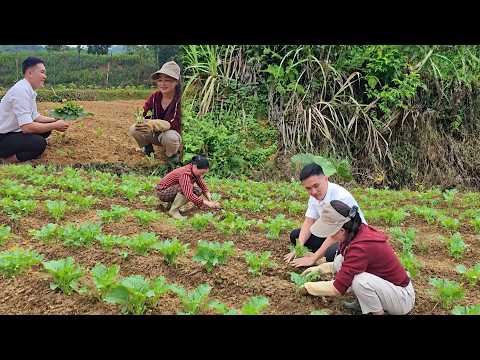 Nhat forgave Mui, and together they planted the season's first rows of vegetables