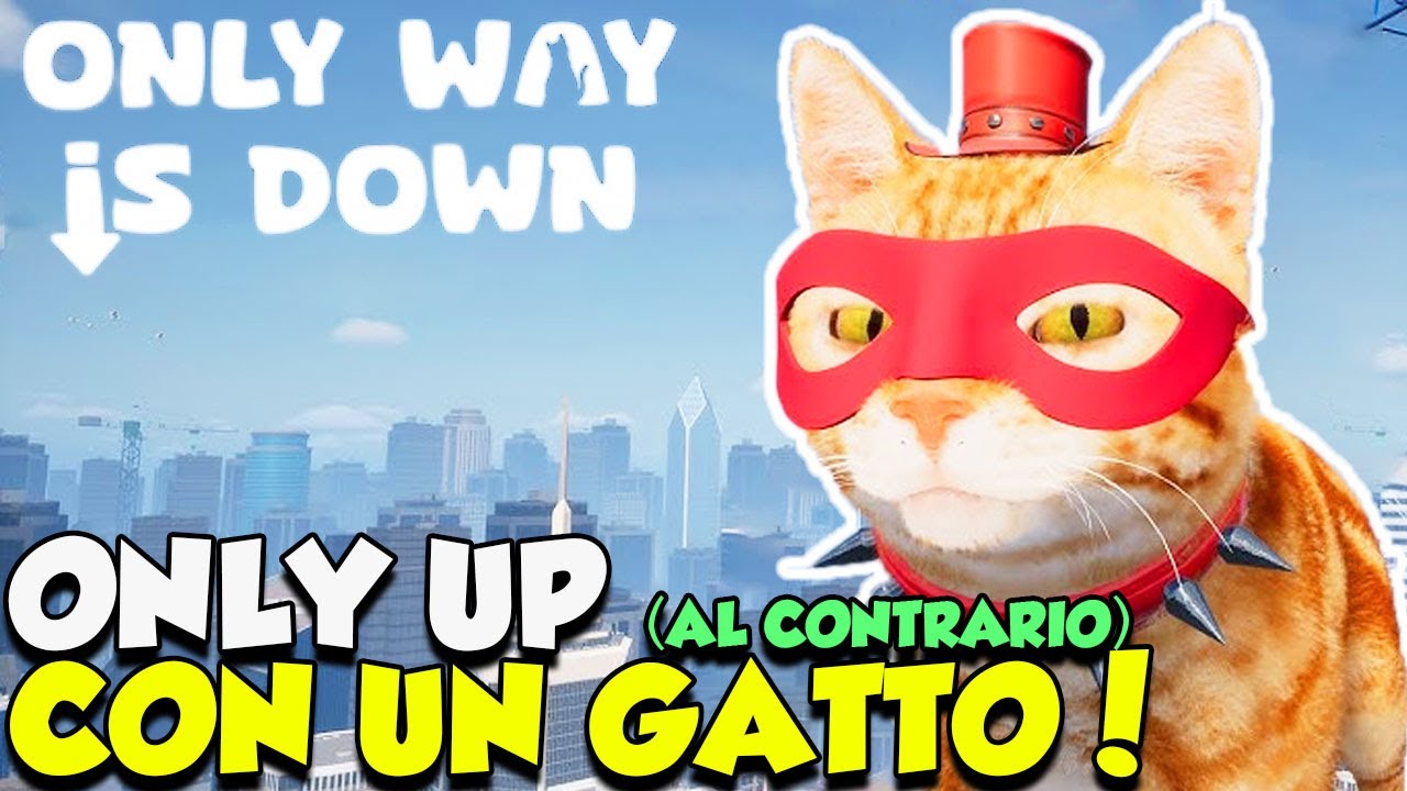 Only Way Is Down - Only Up al contrario con un gatto! - (Salvo Pimpo's ...