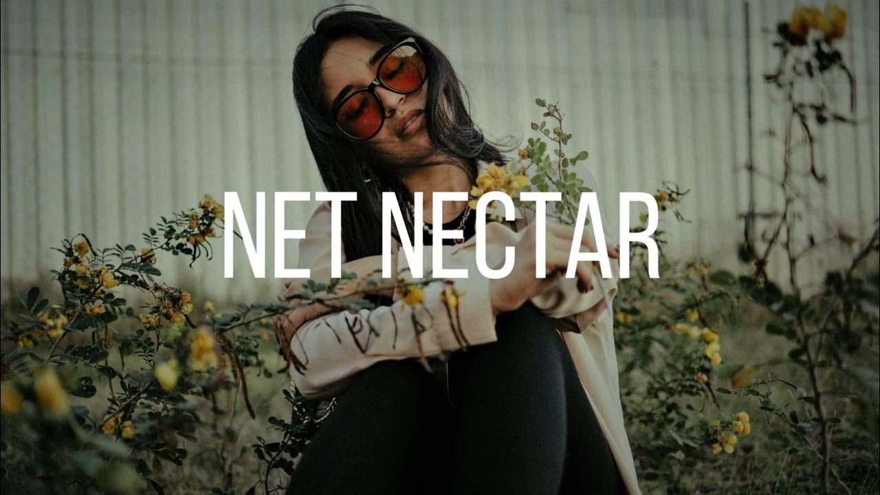 XOLIDAYBOY - Мания (PACHA & DJ XEIGEN REMIX) N.N.M - YouTube Music