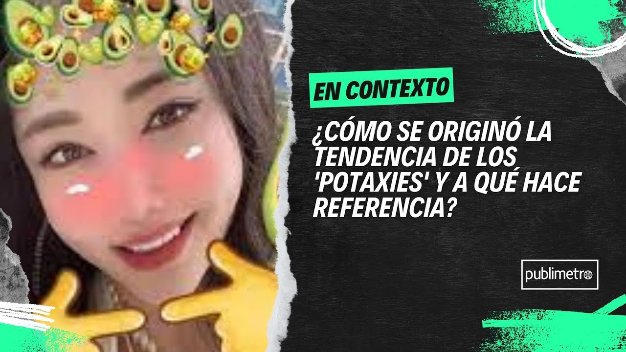 ¿Cómo se originó la tendencia de los 'potaxies' y a qué hace referencia ...