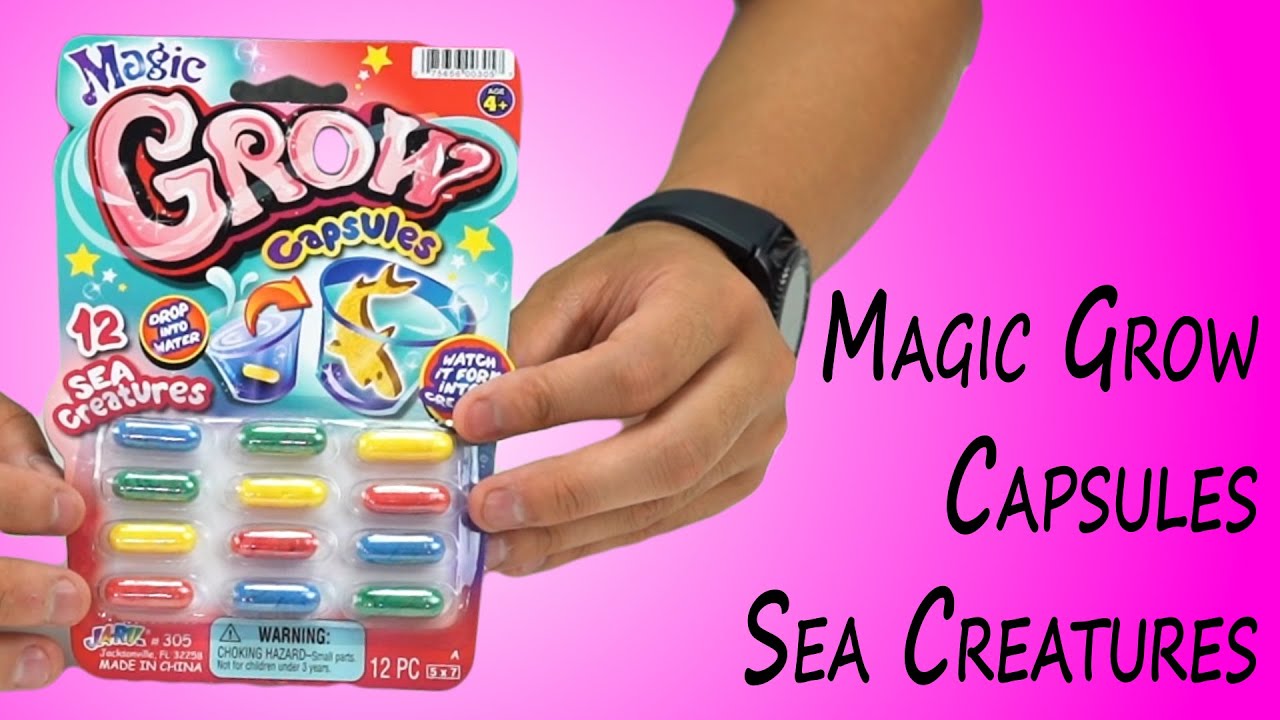 Magic Grow Capsules Sea Creatures - YouTube