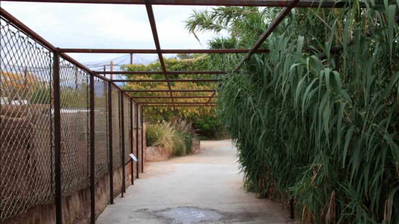 Picture Show Rio Grande Zoo, Albuquerque New Mexico - YouTube