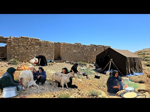 İran Dağlarında Göçebe Bir Ailenin Hayatta Kalması | Çadır Kurulumu ve Chahan'ın Günlük Yaşamı 🏔️🐑