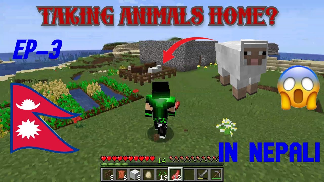 TAKING ANIMALS TO MY HOME | SANSU GAMES | IN NEPALI | #EP-3 - YouTube