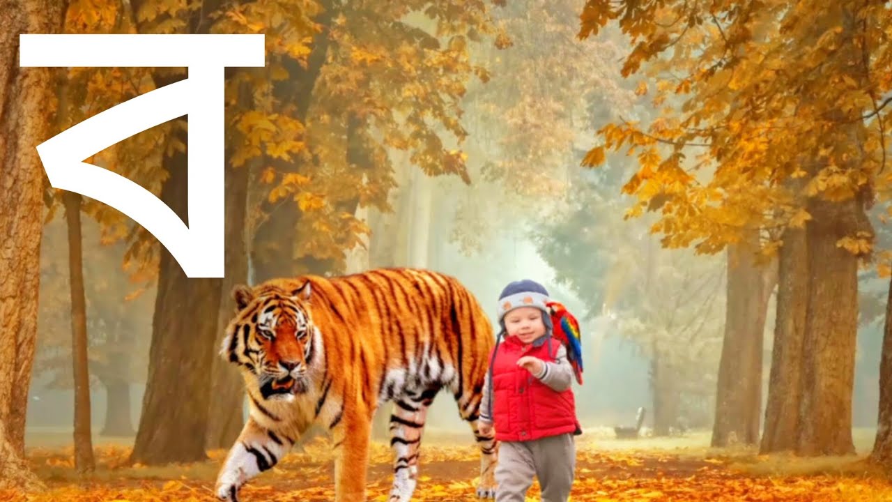 বাংলা ব্যঞ্জনবর্ণ ব ||ব তে বাঘ,বানর,বিড়াল,বাদুড় ||Bangla Banjonborno ...