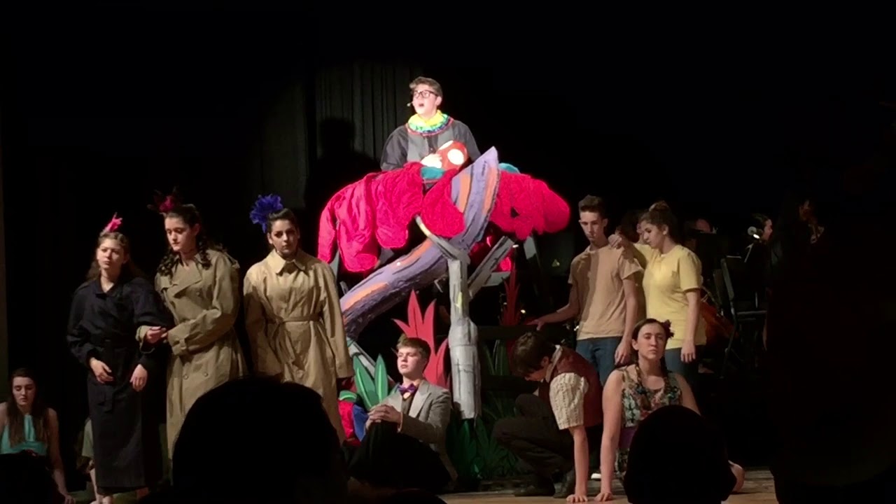 Seussical, Solla Sollew - YouTube