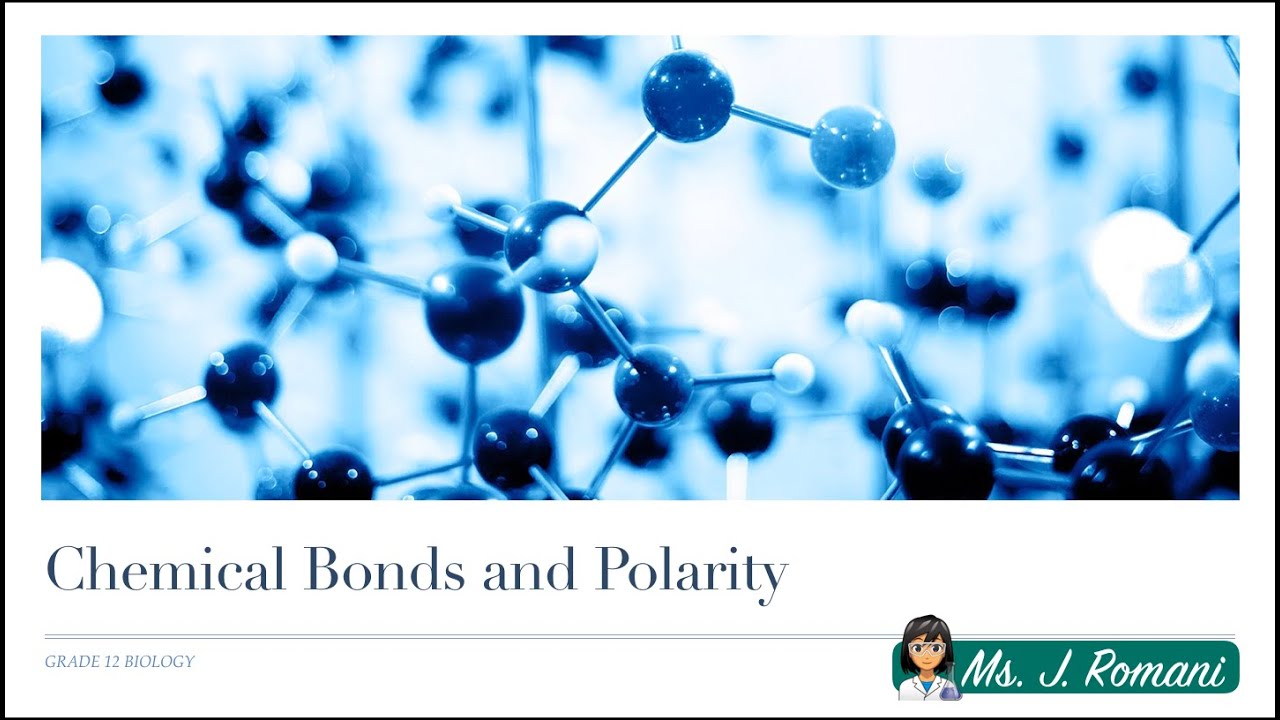 Lesson Video - Chemical Bonds and Polarity - YouTube