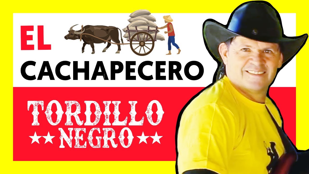 🐴 TORDILLO NEGRO - EL CACHAPECERO (Video Oficial) - YouTube