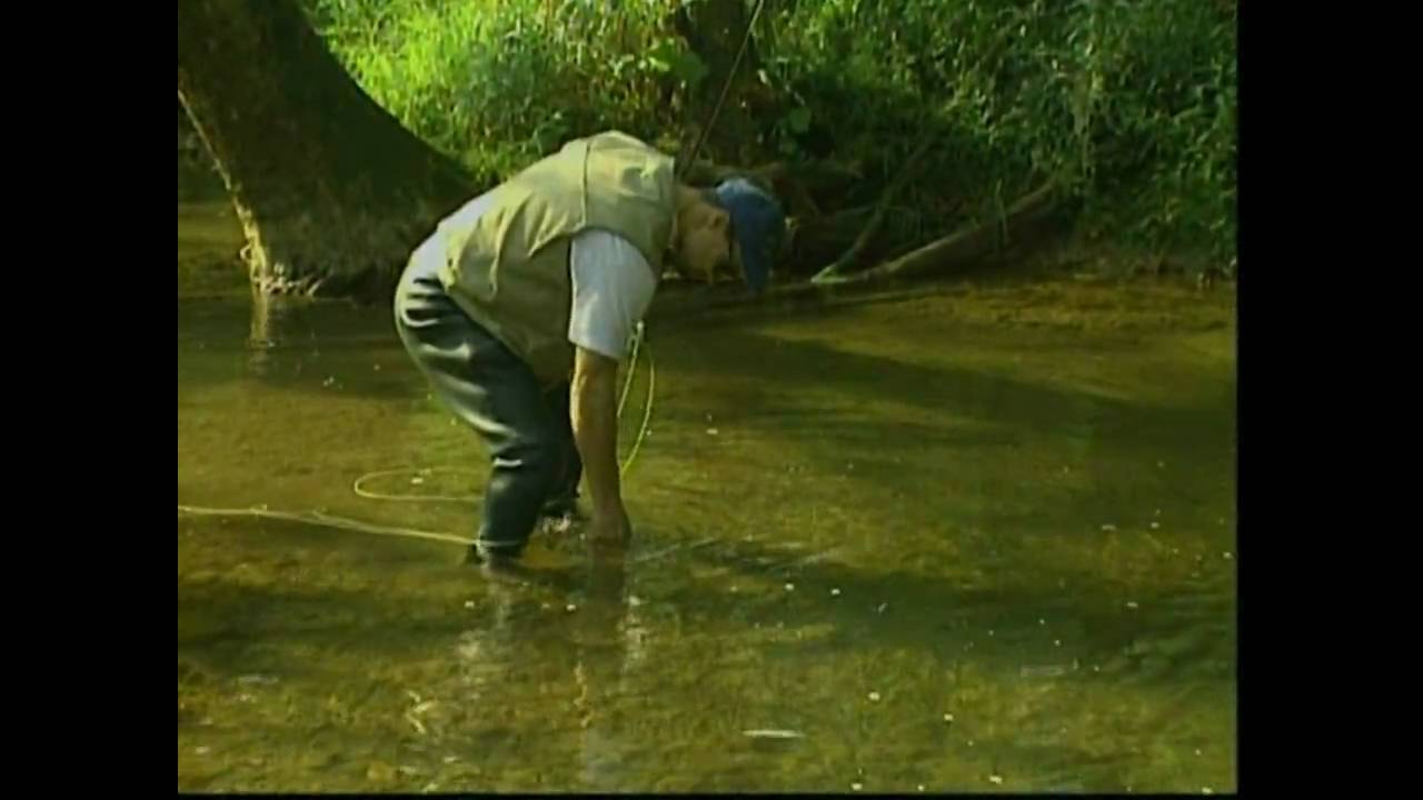 Md Streams: an Undiscovered Realm, part 3 - YouTube