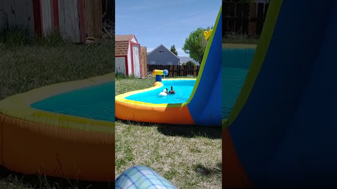 The Biggest Pond in the World (To Them) 🤣 - YouTube