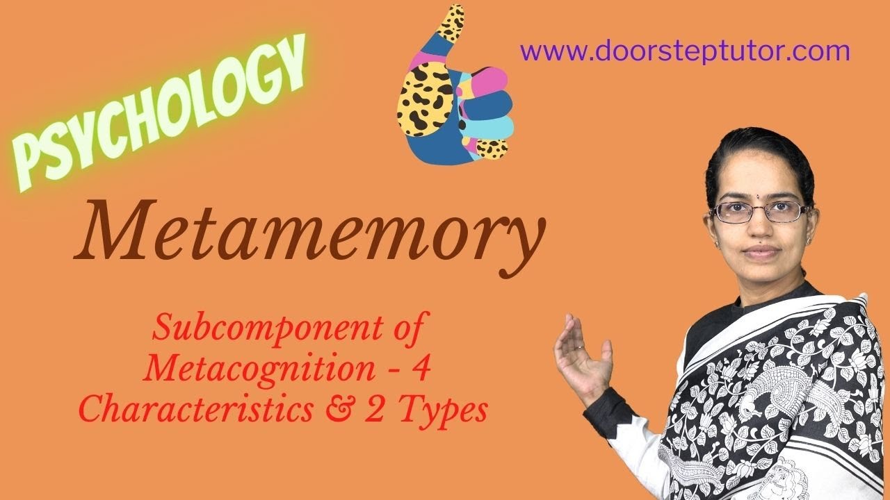 Metamemory Subcomponent Of Metacognition 4 Characteristics And 2 Types