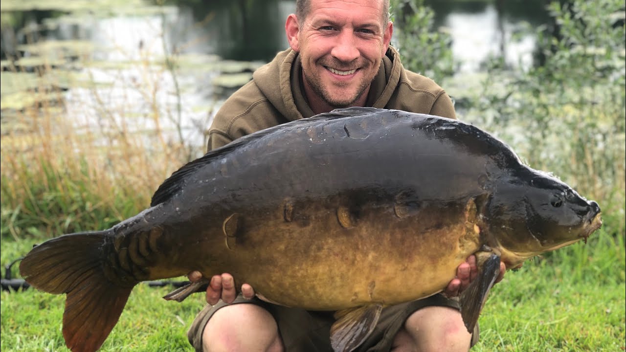 Mill Hayes Lodge, 40lb CARP NEW LAKE RECORD, 30lb and 40lb carp galore ...