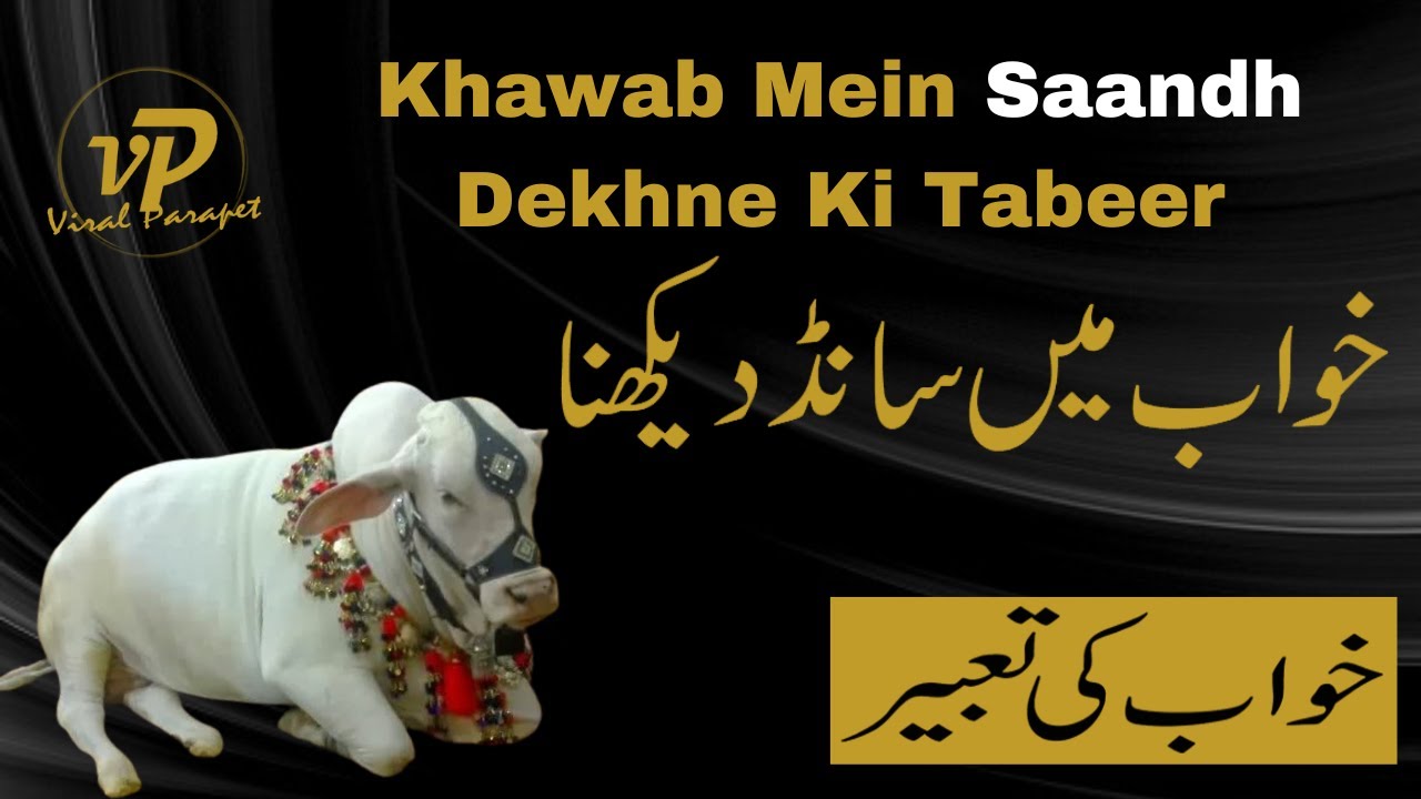 Khwab Mein Saandh Dekhna / Khawab Mein Sandh Dekhne Ki Tabeer / Khwab ...