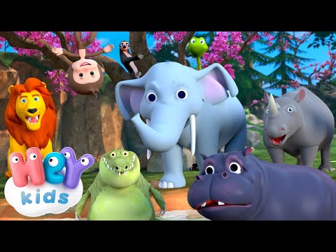 Off to the jungle! 🦁🐍 Discover animals | Animal Song for Kids | HeyKids Nursery Rhymes