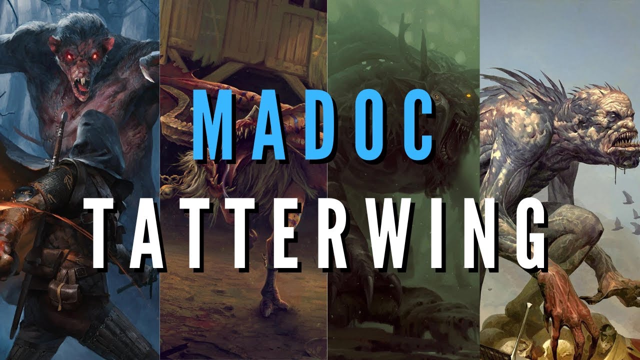 GWENT | TATTERWING MORVUDD MADOC DECK UPDATE 11.6 - YouTube