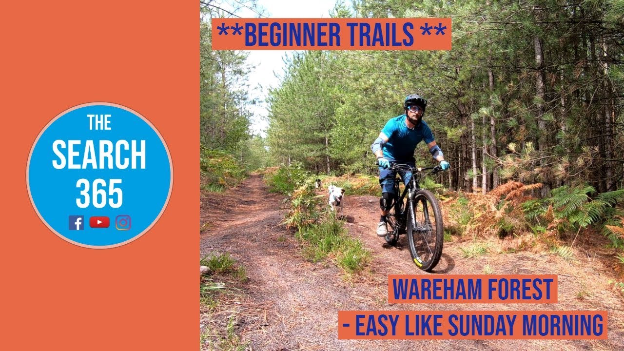 Wareham Forest | MTB Trails | Easy like sunday morning | BEGINNER Trail ...