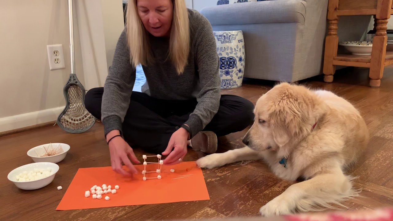 STEM - Building with marshmallows and toothpicks - YouTube