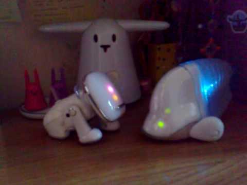 i-Dog and i-Fish interaction - YouTube