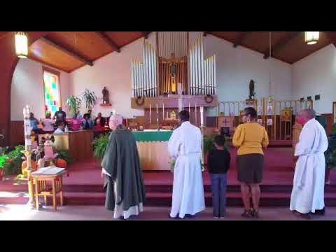 St. Thomas More Catholic Church - Sunday November 3, 2024 Mass - YouTube