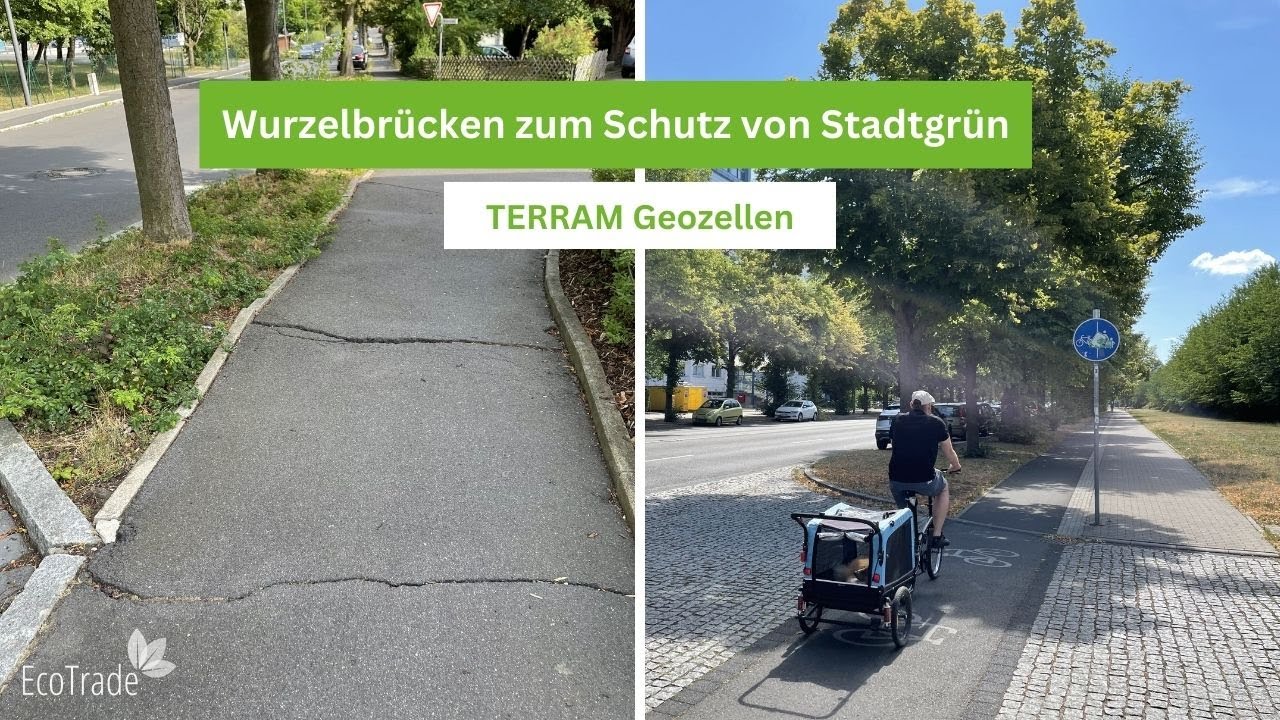 Wurzelbrücken mit TERRAM Geozellen - Schutz von Stadtgrün - YouTube