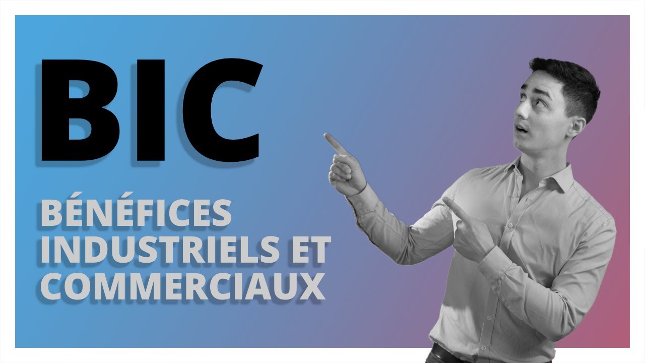 BIC 1/2 : activités et règles - TOUT savoir sur l'impôt sur le revenu ...