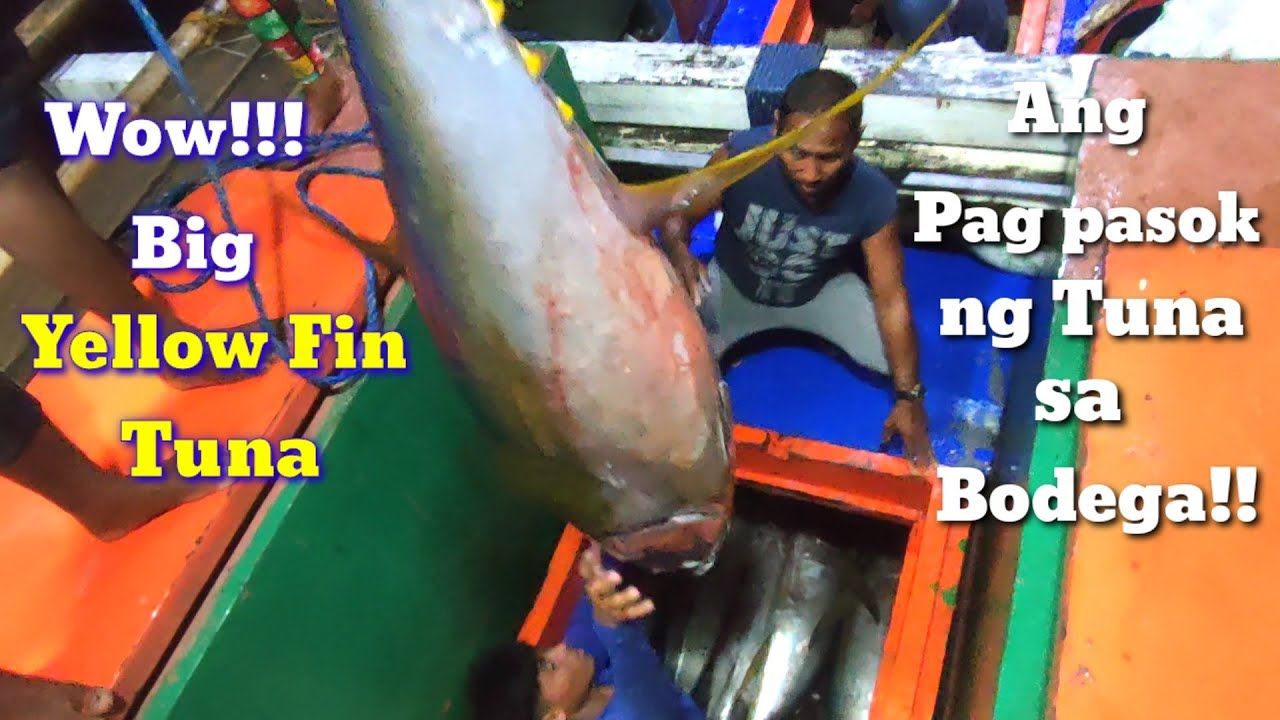 Laot5 part6 Ang pag pasok ng mga Tuna sa Bodega..Ator Fishing Tv - YouTube