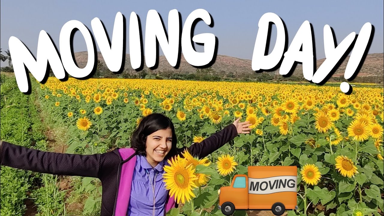 It's the "moving day" - YouTube
