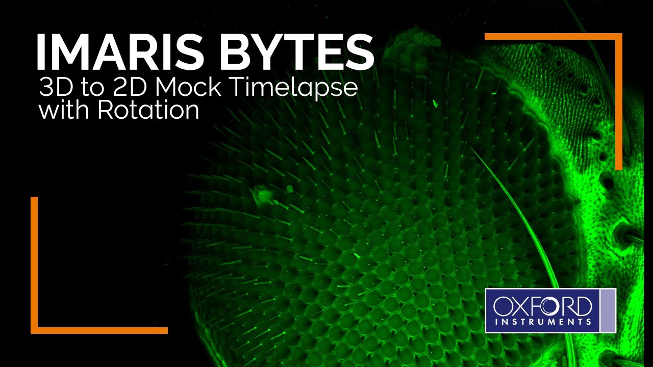 Imaris Bytes | 3D to 2D Mock Timelapse with Rotation - YouTube
