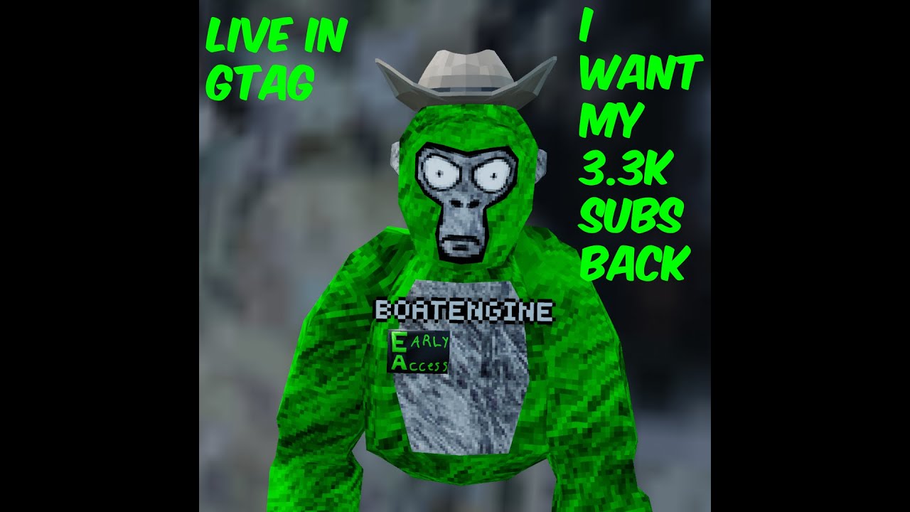 GORILLA TAG WITH VIEWERS IN GTAG #gtagvr #gorillatag #gtag #vr #live ...