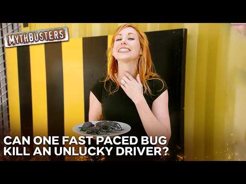 Can A Bug Really Kill A Motorcyclist At Highway Speed? | MythBusters