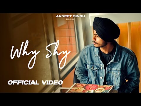 Why Shy (Official Video) - Avneet Singh | Janmeet Infinity | Ammy & Daman Singh