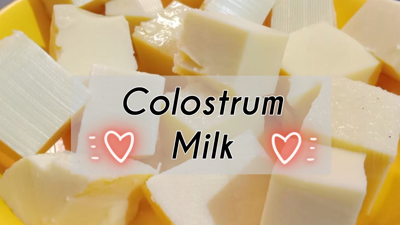 colostrum milk | seem milk | easy made sweet at home | quickly sweet ...