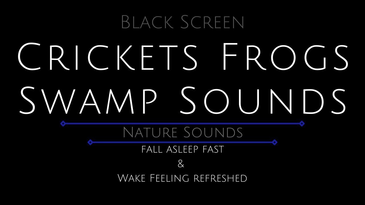 Night Ambient Sounds, Cricket, Swamp Sounds at Night, Sleep and ...