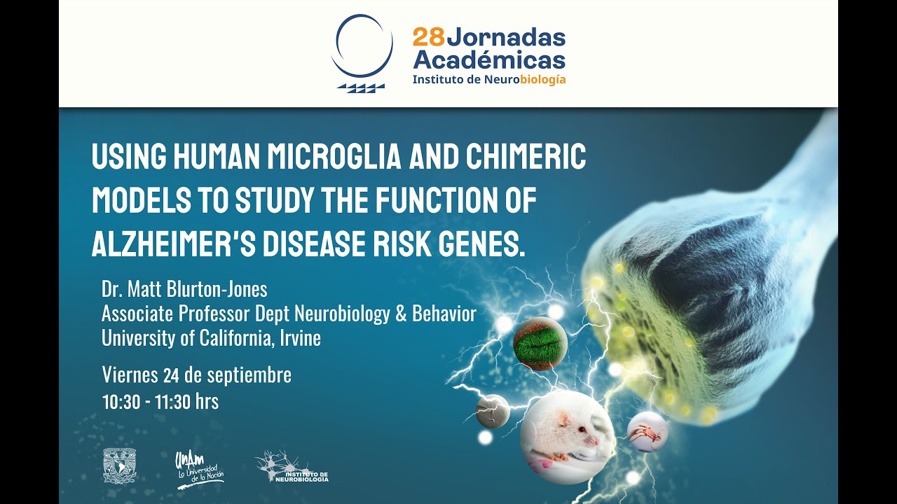 Using human microglia and chimeric models to study the function of ...