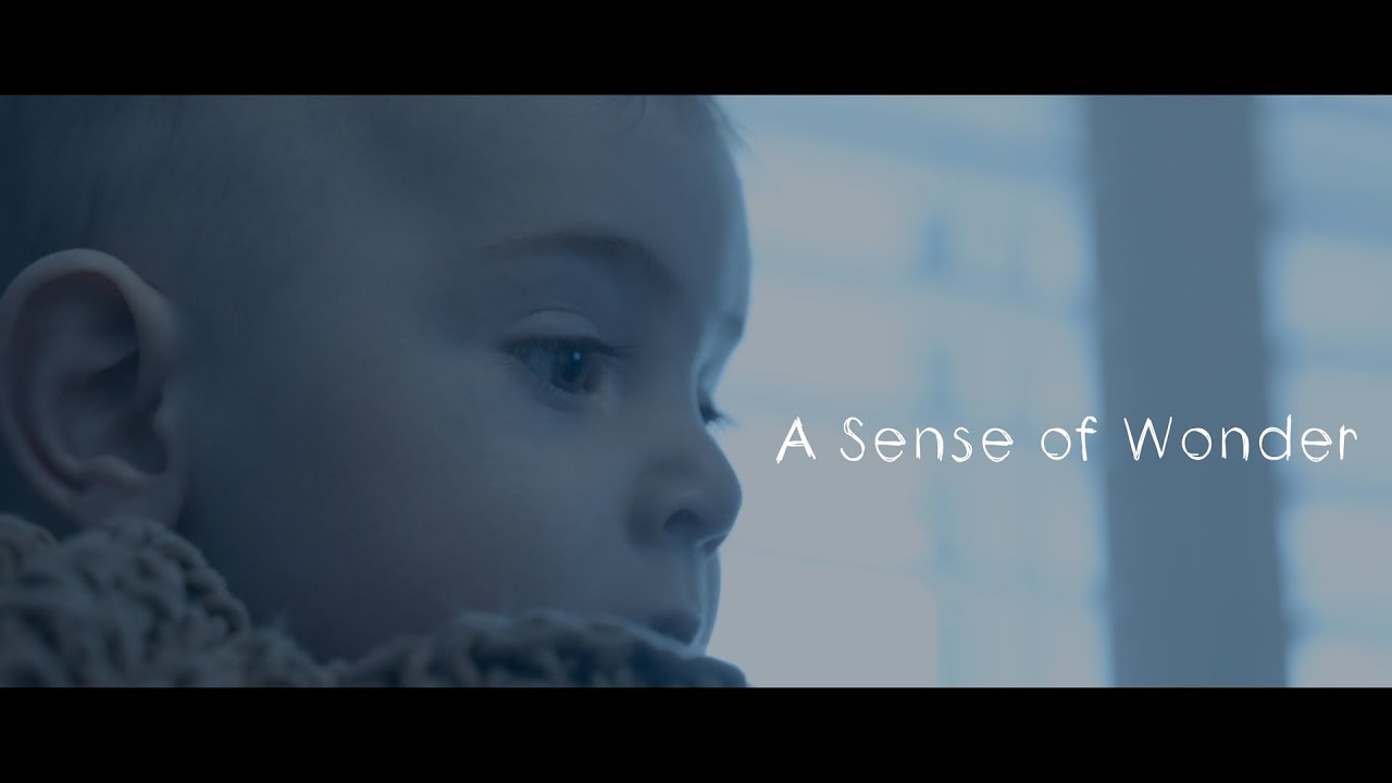 A Sense of Wonder - YouTube