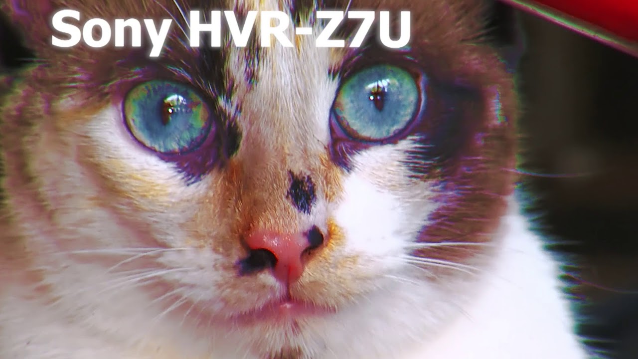 Sony HVR-Z7U Test footage - YouTube